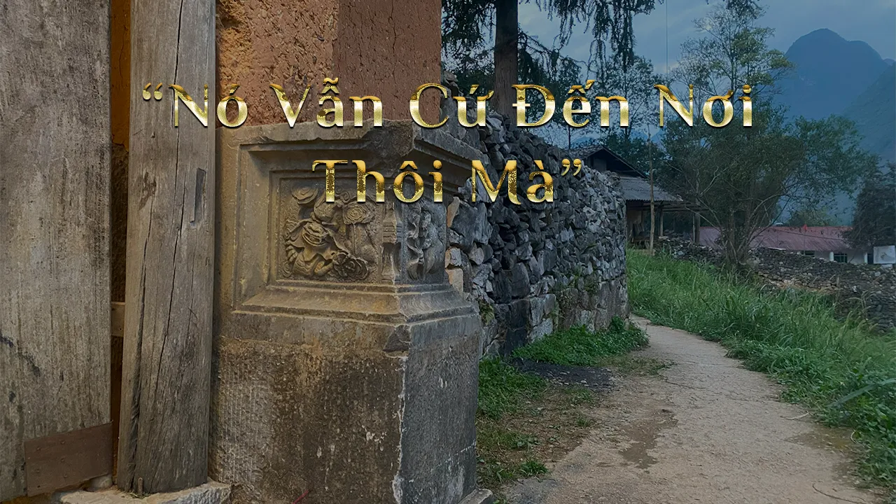 "Nó vẫn cứ đến nơi thôi mà"